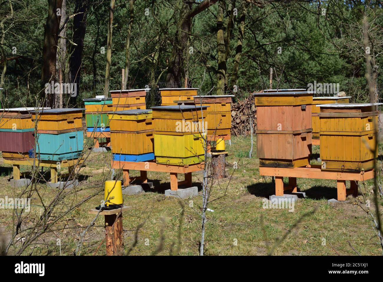 Beekeeping tourism hi-res stock photography and images - Alamy