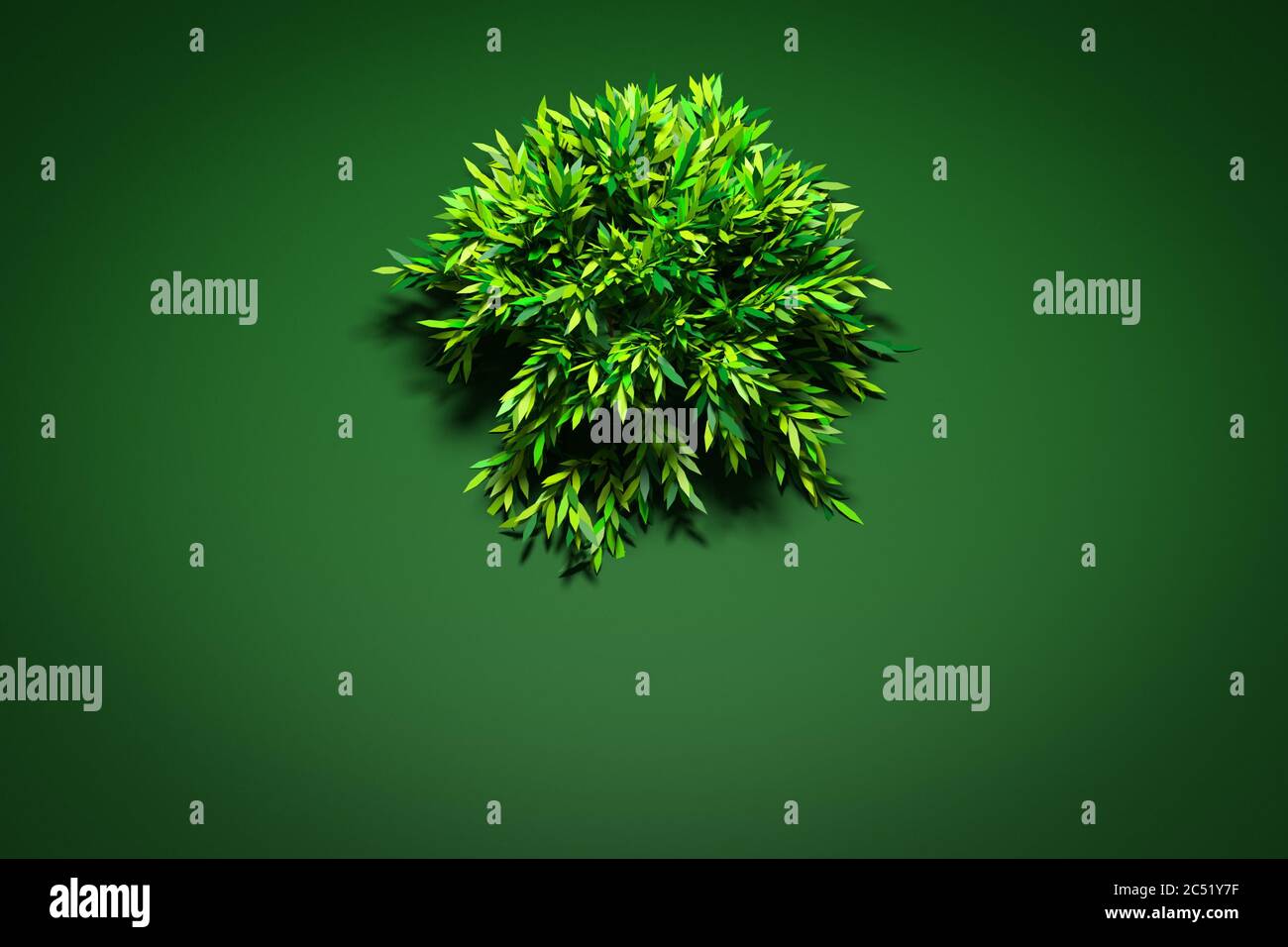 3D illustration a big green deciduous tree with a shadow on a green ...