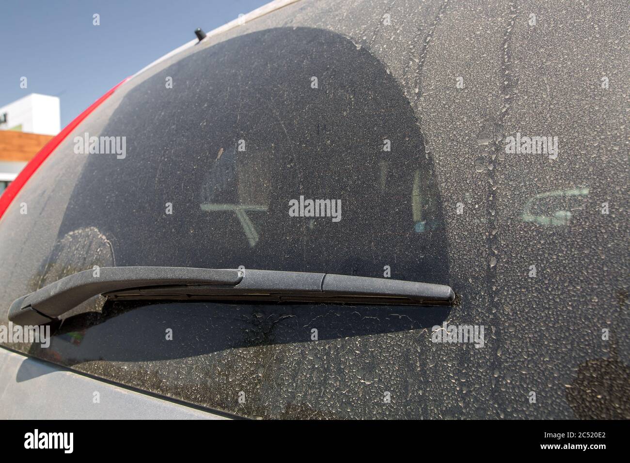 Covered in dry mud hi-res stock photography and images - Alamy