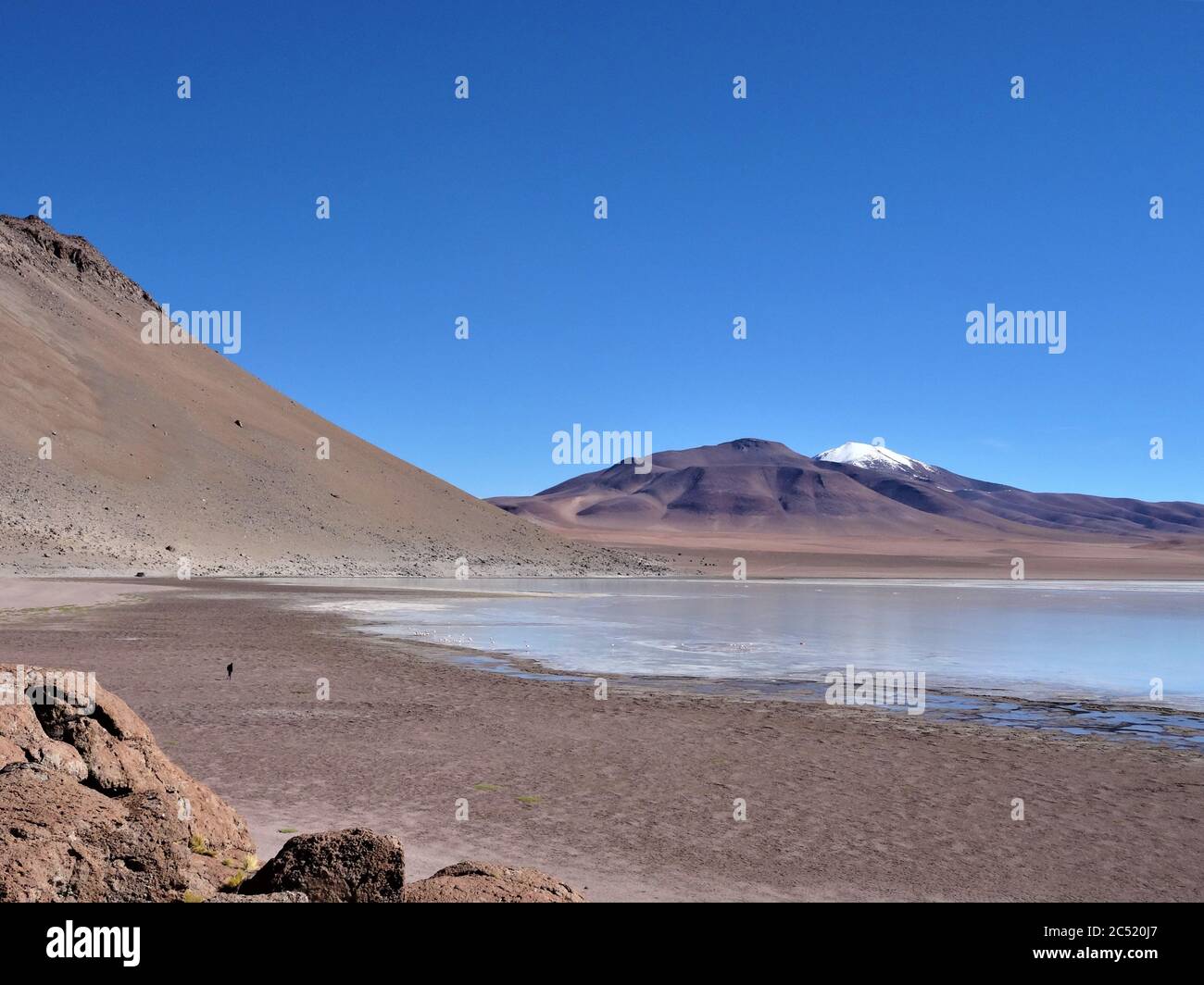 Beautiful shot of Altiplano plateau in Bolivia Stock Photo - Alamy