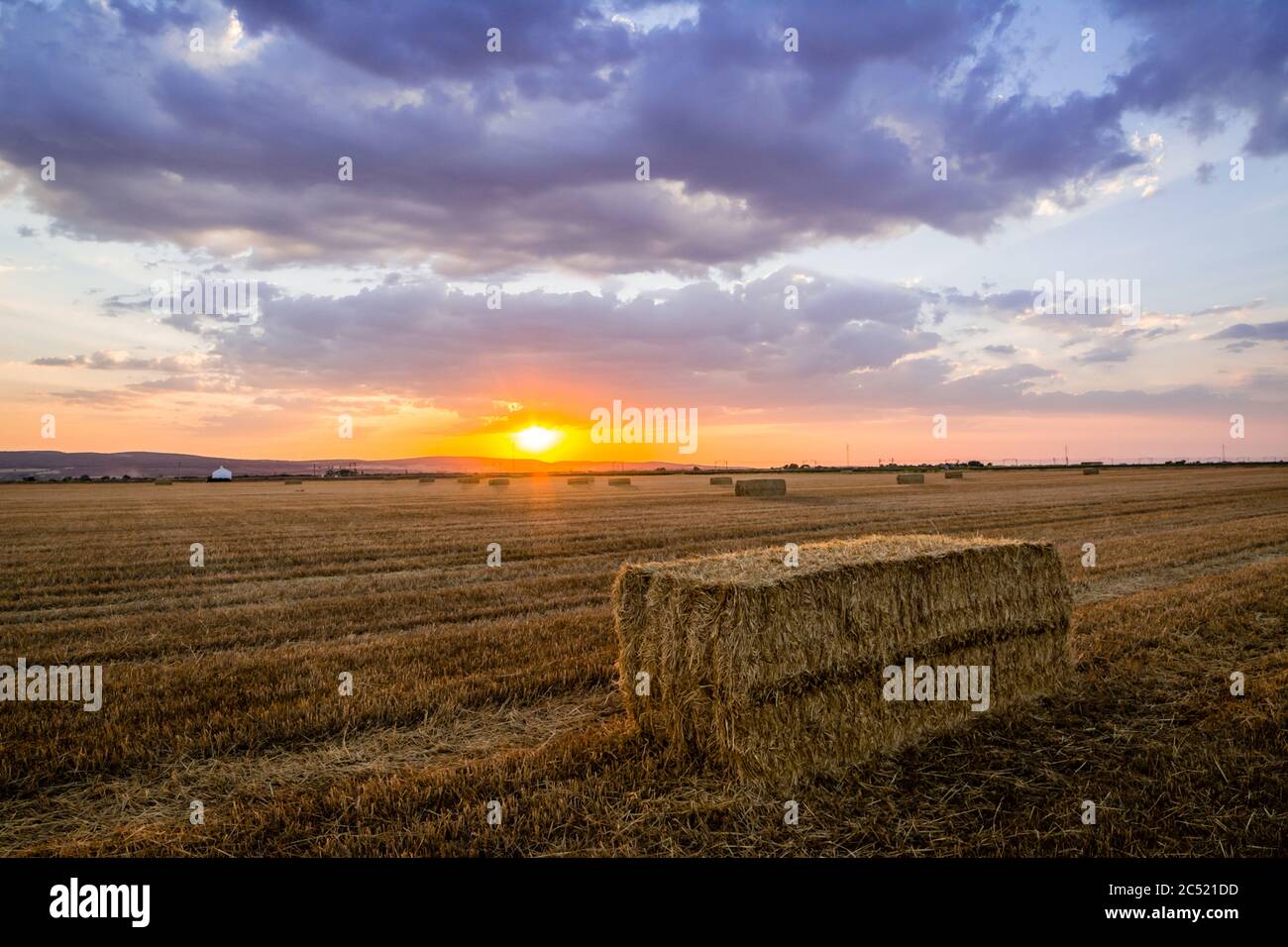 Strawfield hi-res stock photography and images - Alamy