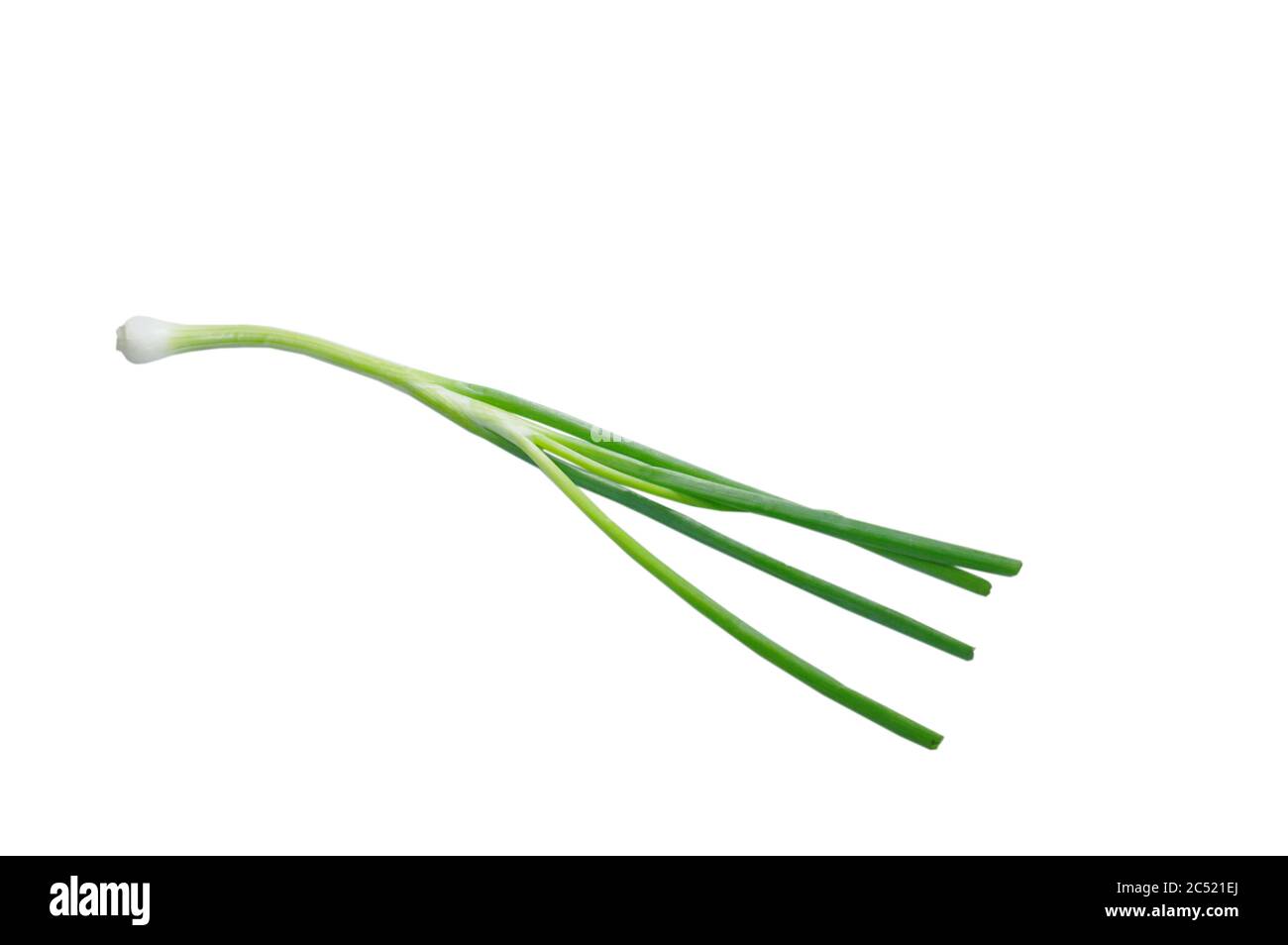 spring onion on white background Stock Photo - Alamy