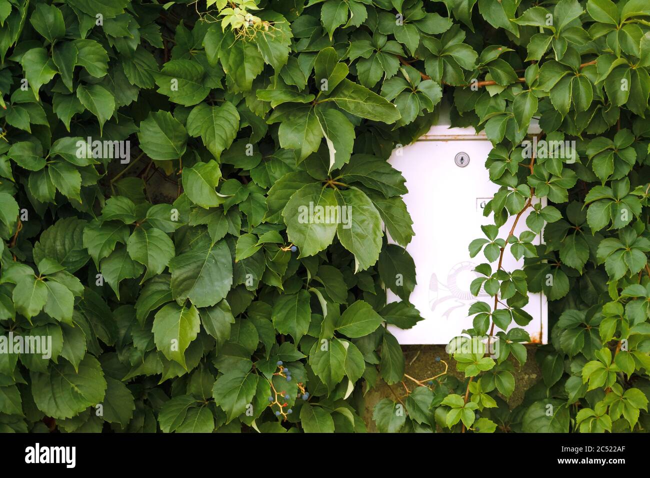 Delivery slot hi-res stock photography and images - Alamy