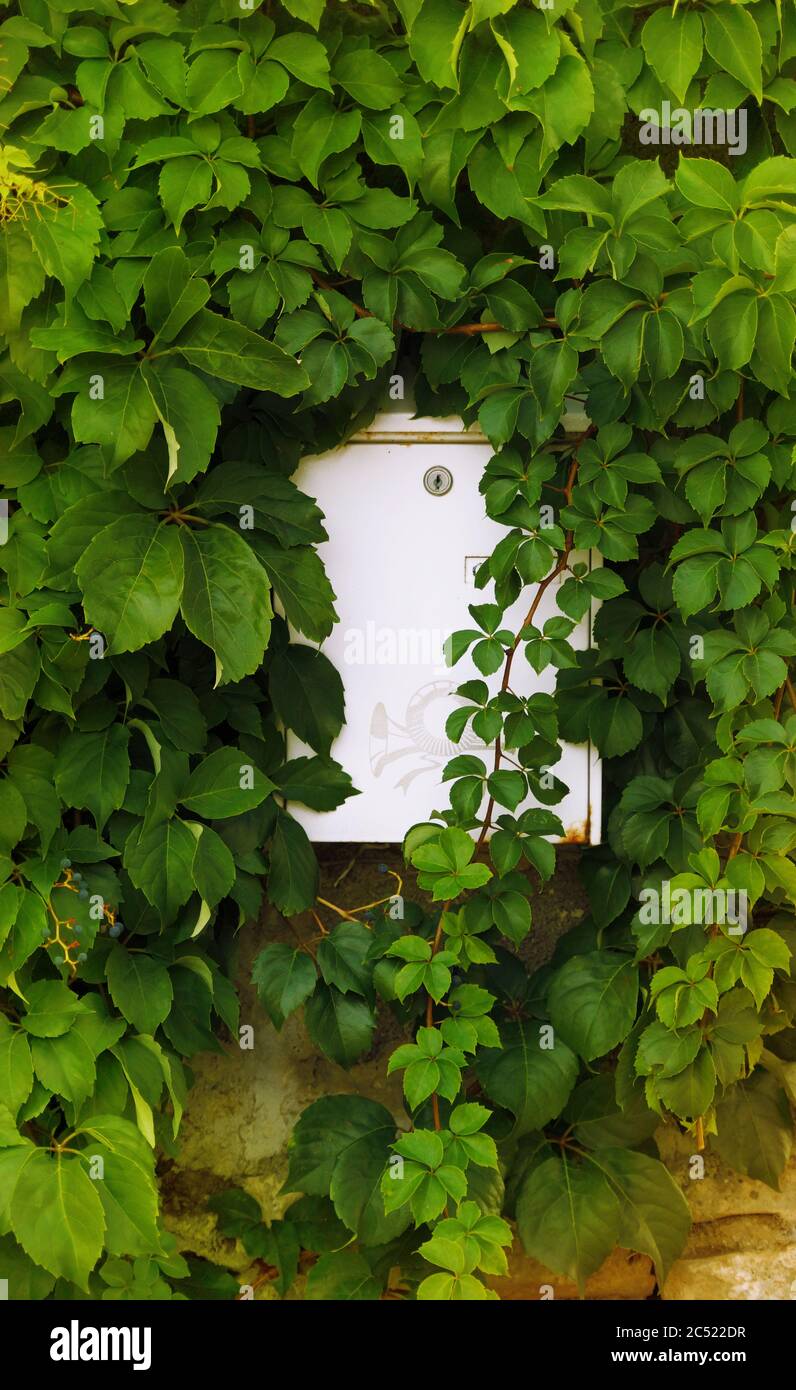 Delivery slot hi-res stock photography and images - Alamy