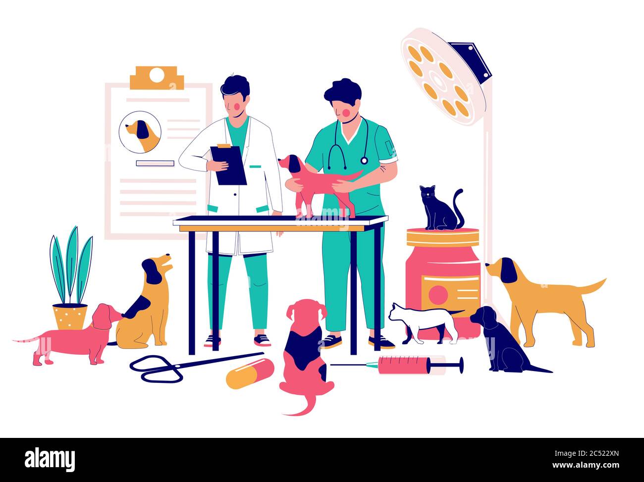 Veterinary practice clinic Stock Vector Images - Alamy