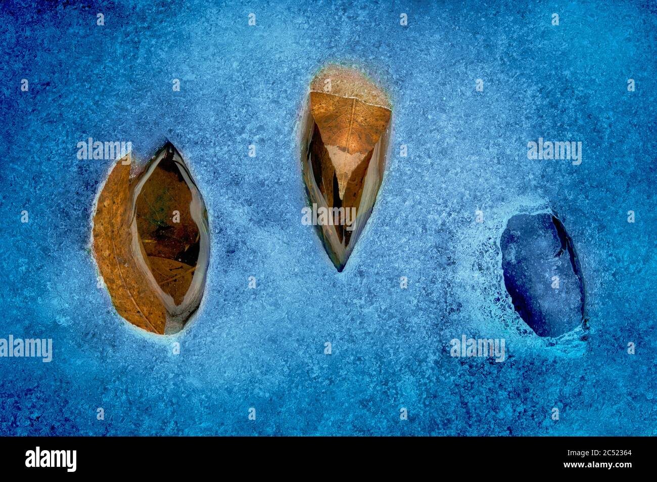 Melting ice around leaf hi-res stock photography and images - Alamy