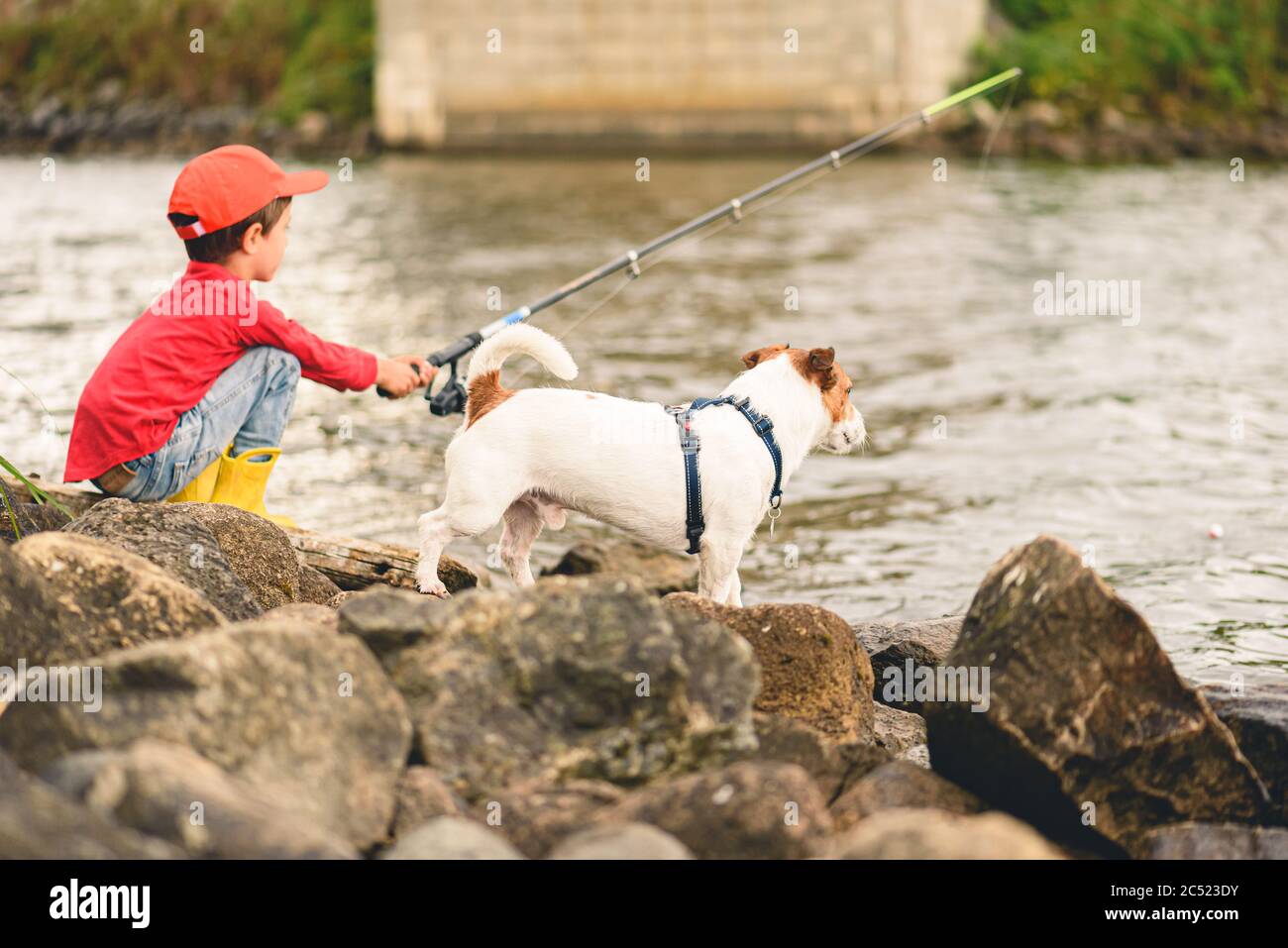 Dog watching his kid owner angling fish with fishing rod in river on ...