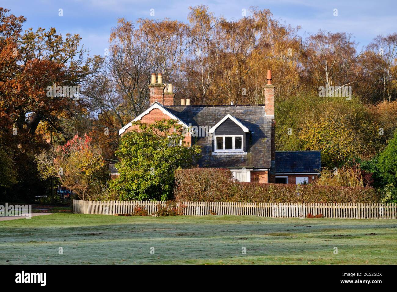 New forest brockenhurst village hi-res stock photography and images - Alamy