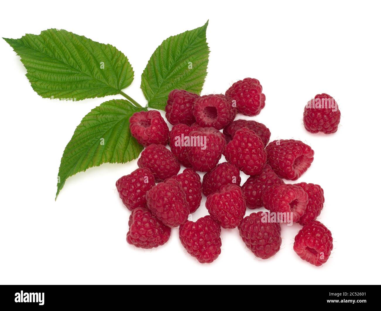 Raspberry with leaves isolated on white background Stock Photo - Alamy