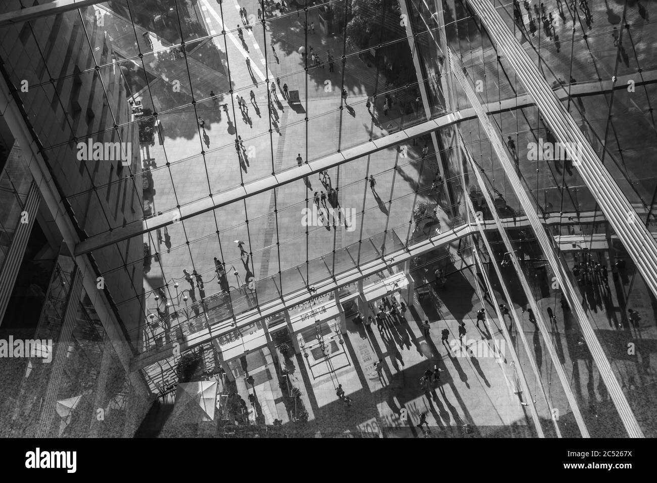 GUANGZHOU, CHINA, 18 NOVEMBER 2019: Interior view of the modern library ...