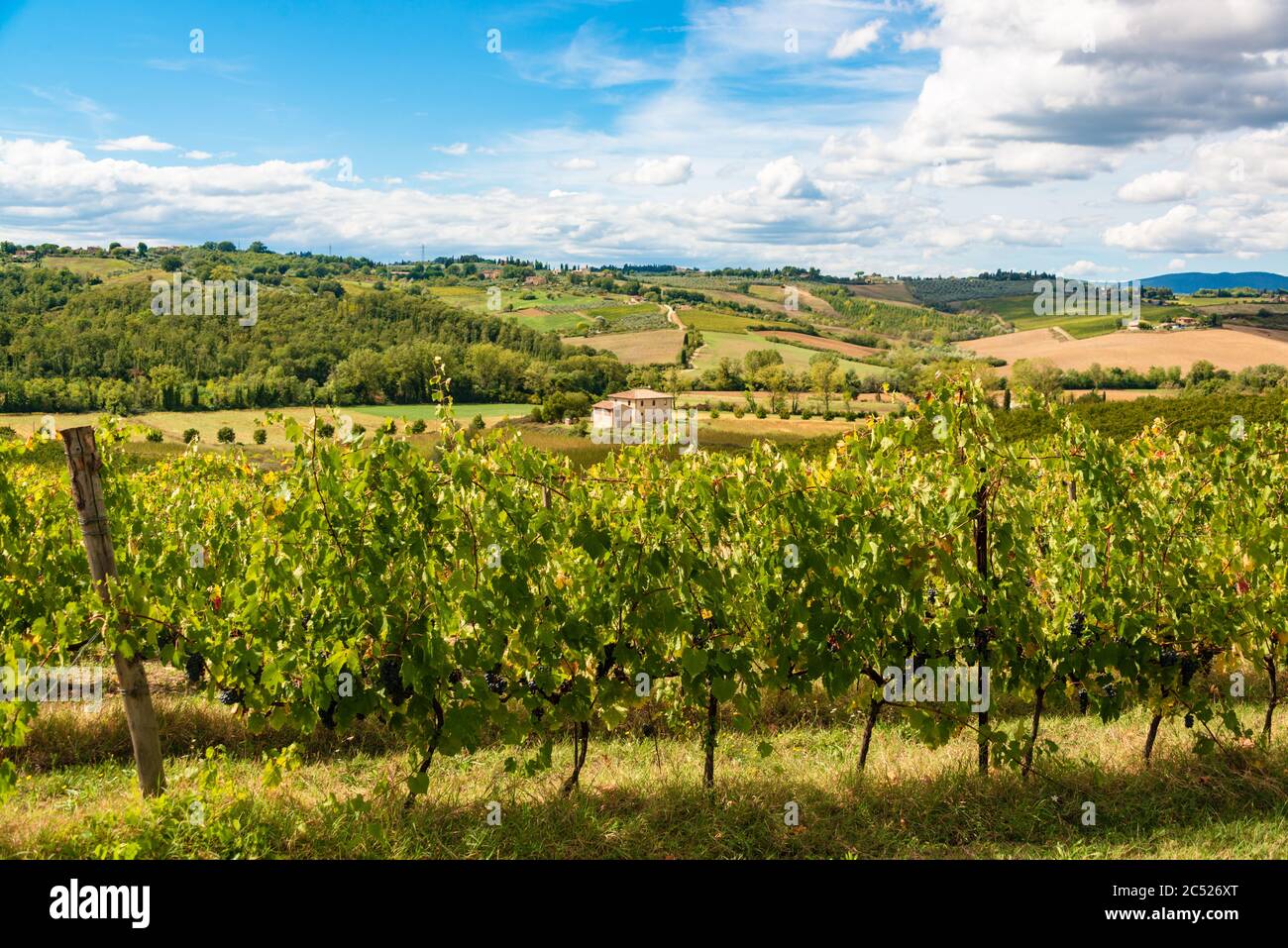 Tenuta di monaciano hi-res stock photography and images - Alamy