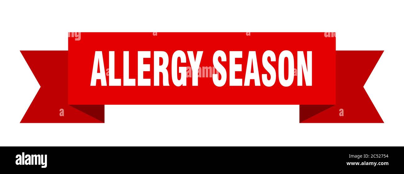 allergy season ribbon. allergy season isolated band sign. allergy ...