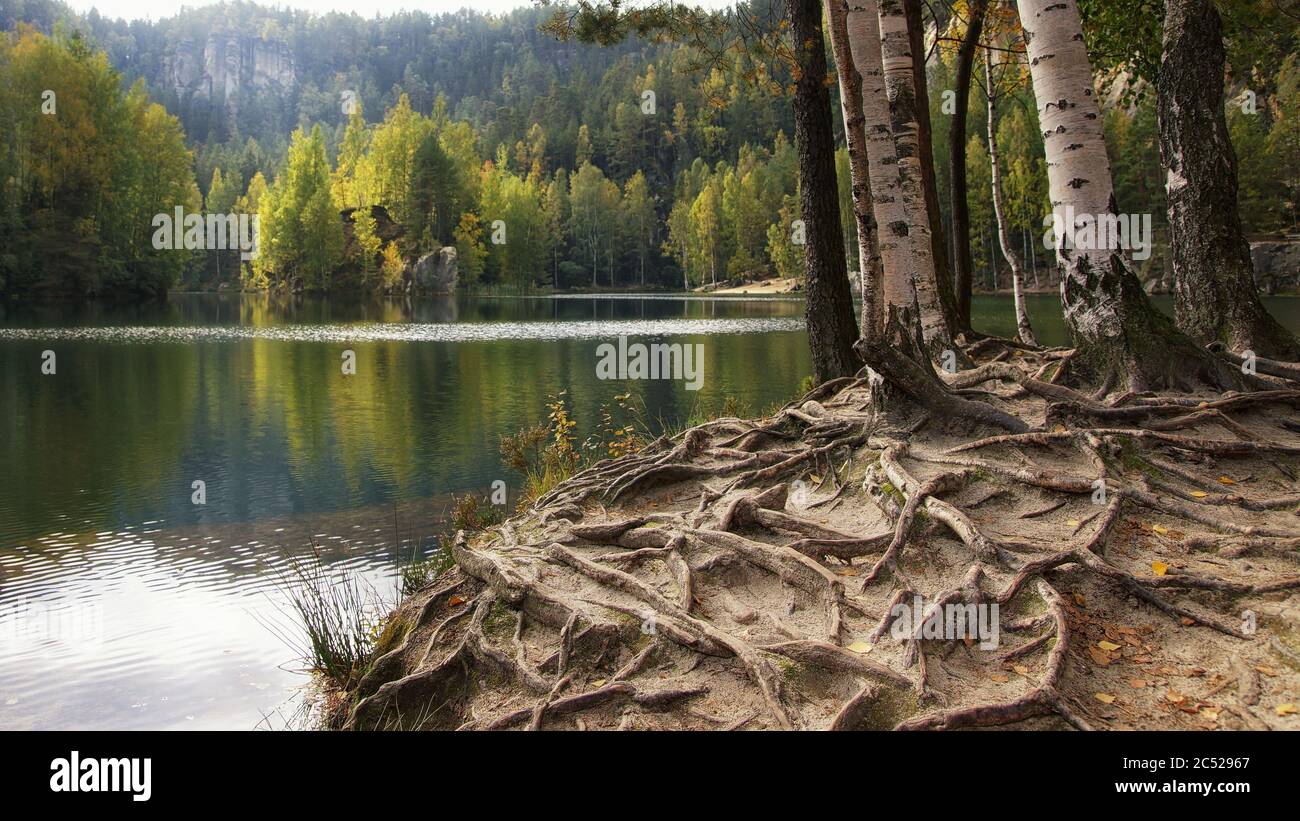 Bohemia roots hi-res stock photography and images - Alamy