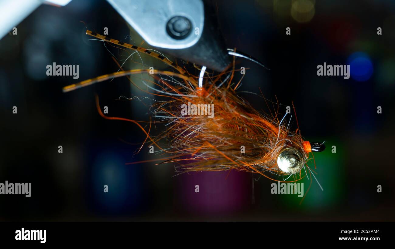 Lure fly fishing hi-res stock photography and images - Alamy