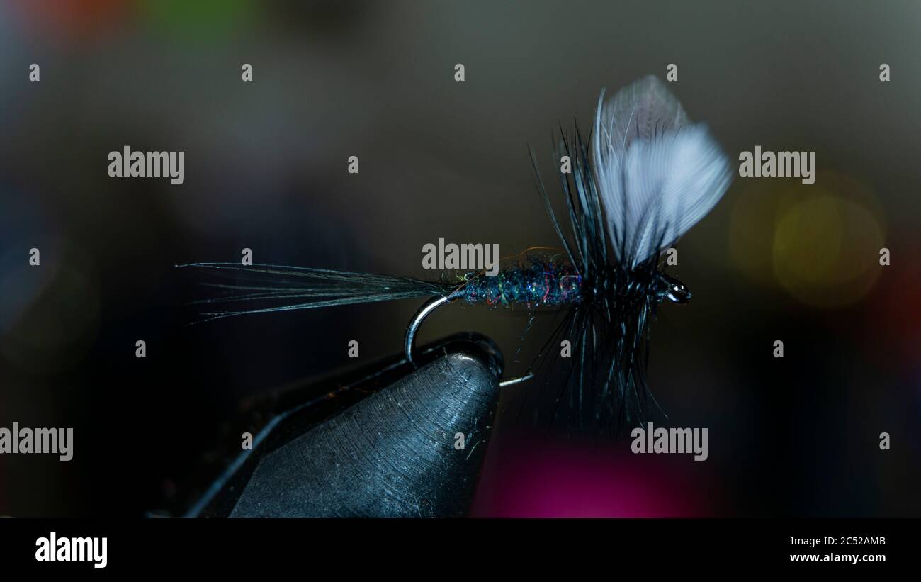 Fishing dry fly hi-res stock photography and images - Alamy