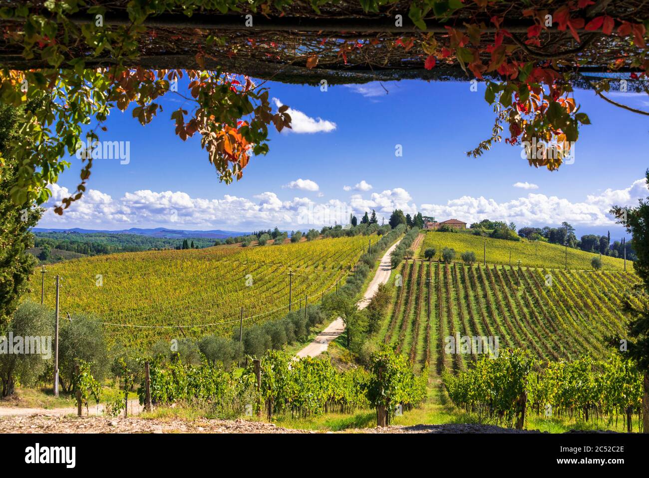 Auf dem Hügel die Villa der Tenuta Di Monaciano Stock Photo - Alamy