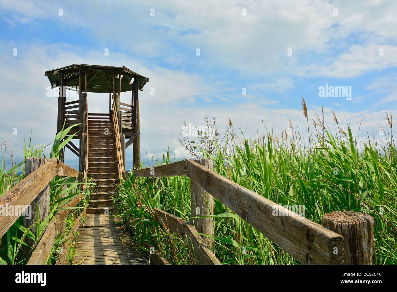 A wooden wildlife observation tower in the wetlands of Isola Della Cona ...
