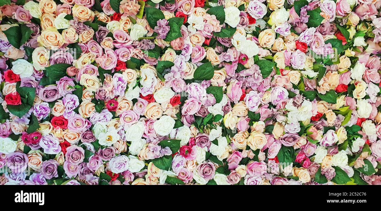 Colorful artificial roses as a background Stock Photo - Alamy