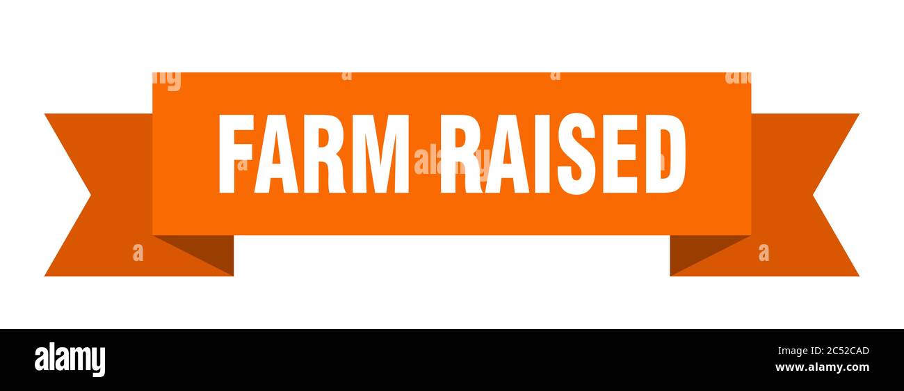 farm raised ribbon. farm raised isolated band sign. farm raised banner ...