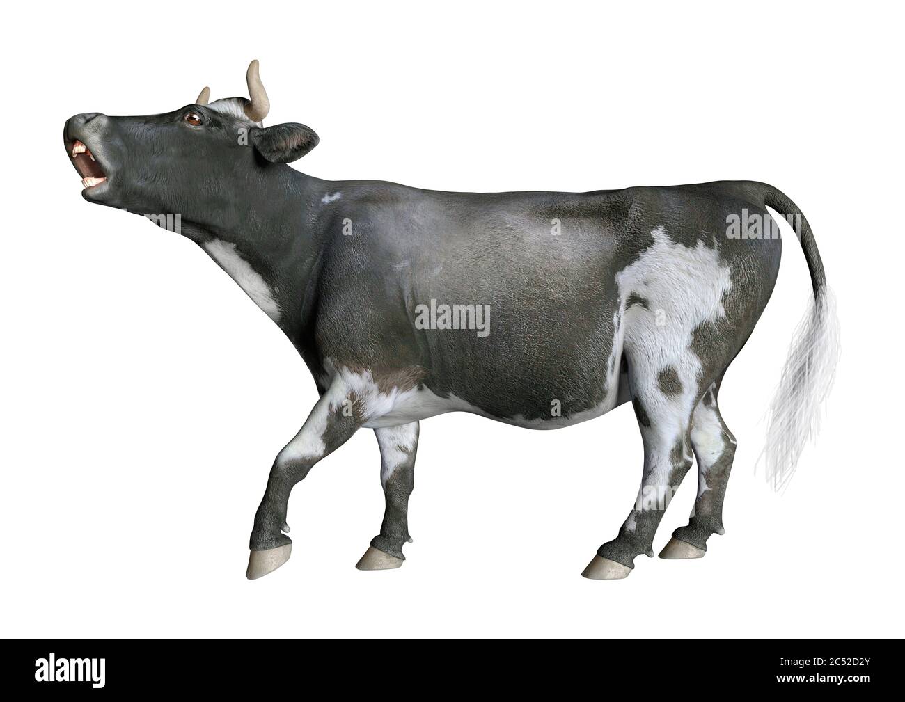 3D rendering of a farm animal cow isolated on white background Stock ...