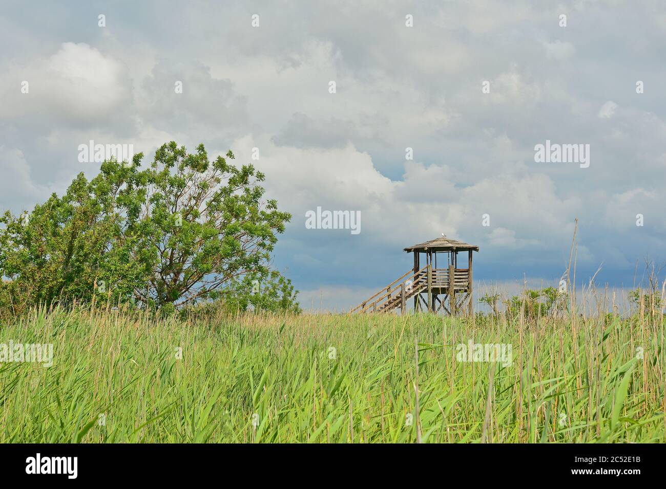 A wooden wildlife observation tower in the wetlands of Isola Della Cona ...