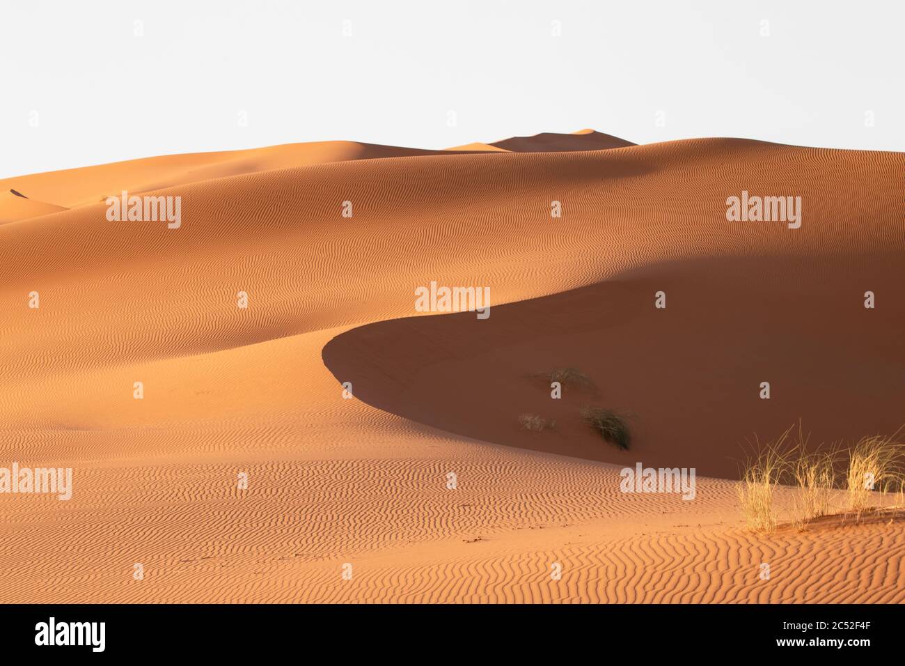 Beautiful scenery of sand dunes in a desert area on a sunny day Stock ...