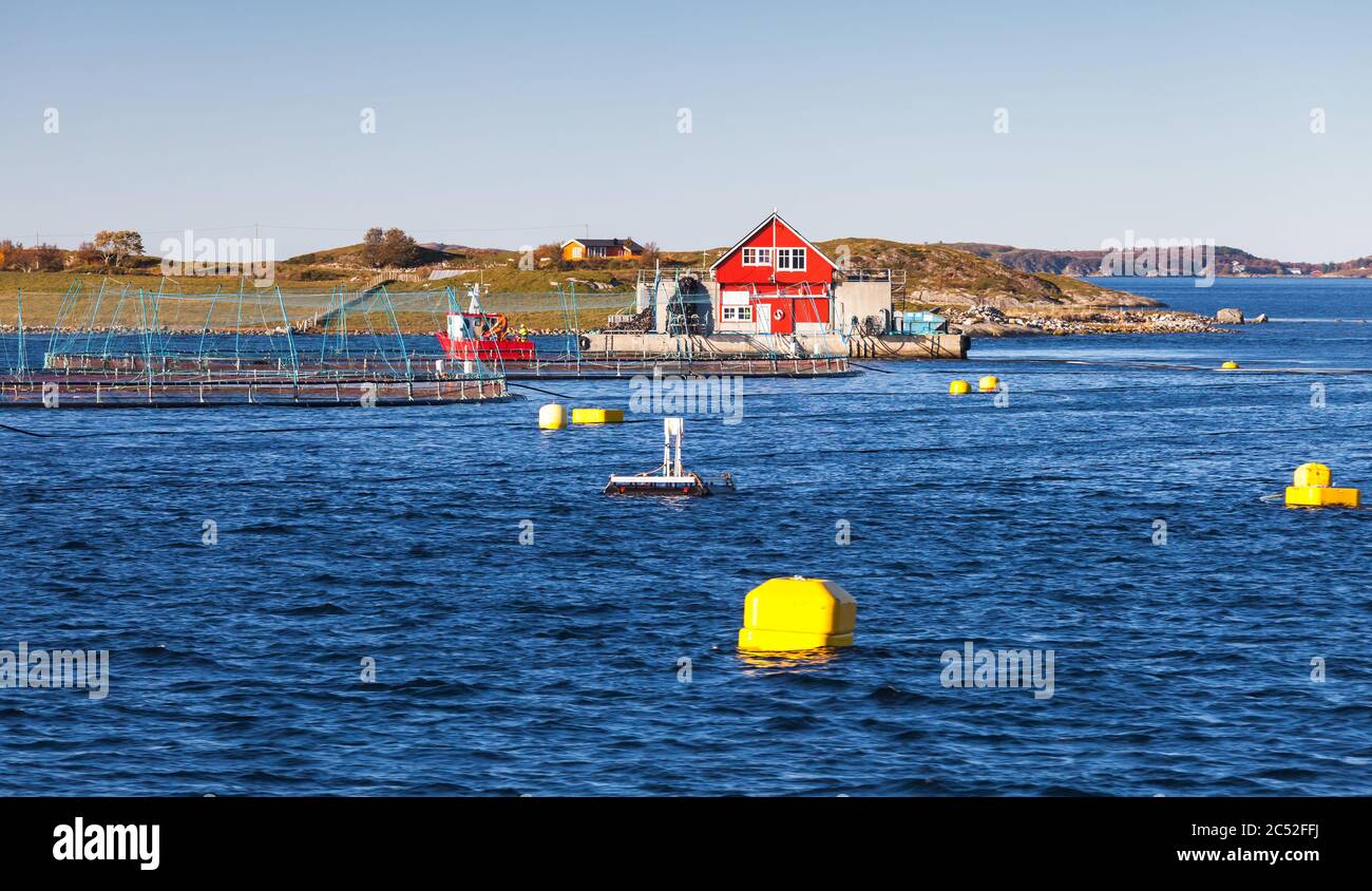 Floating Norwegian fish farm for salmon growing in natural environment ...