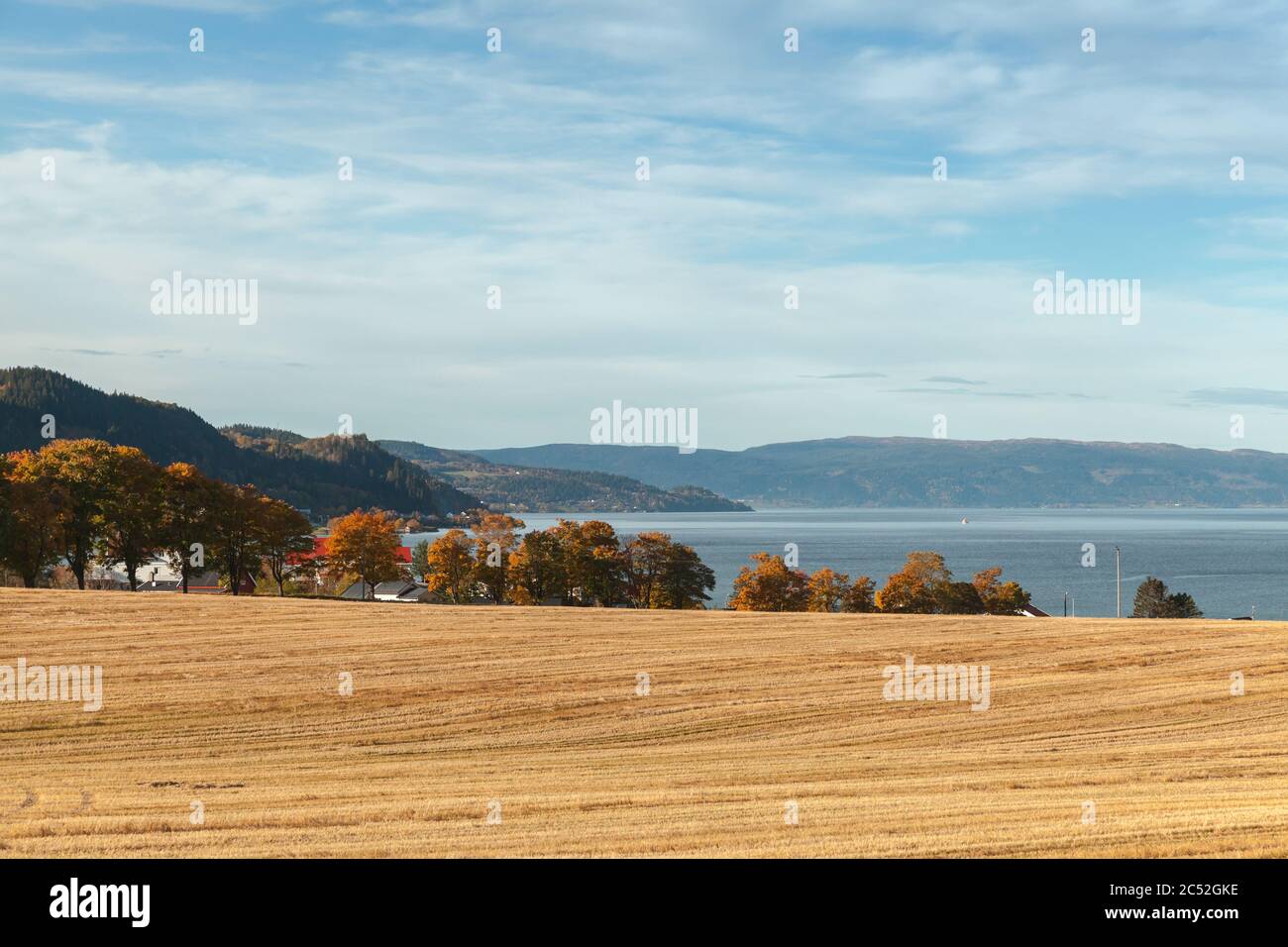 Rural Norwegian landscape with dry yellow field on a sea coast Stock ...