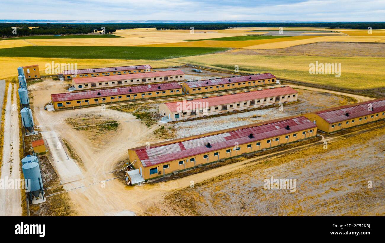 Aerial view pig farm in hi-res stock photography and images - Alamy