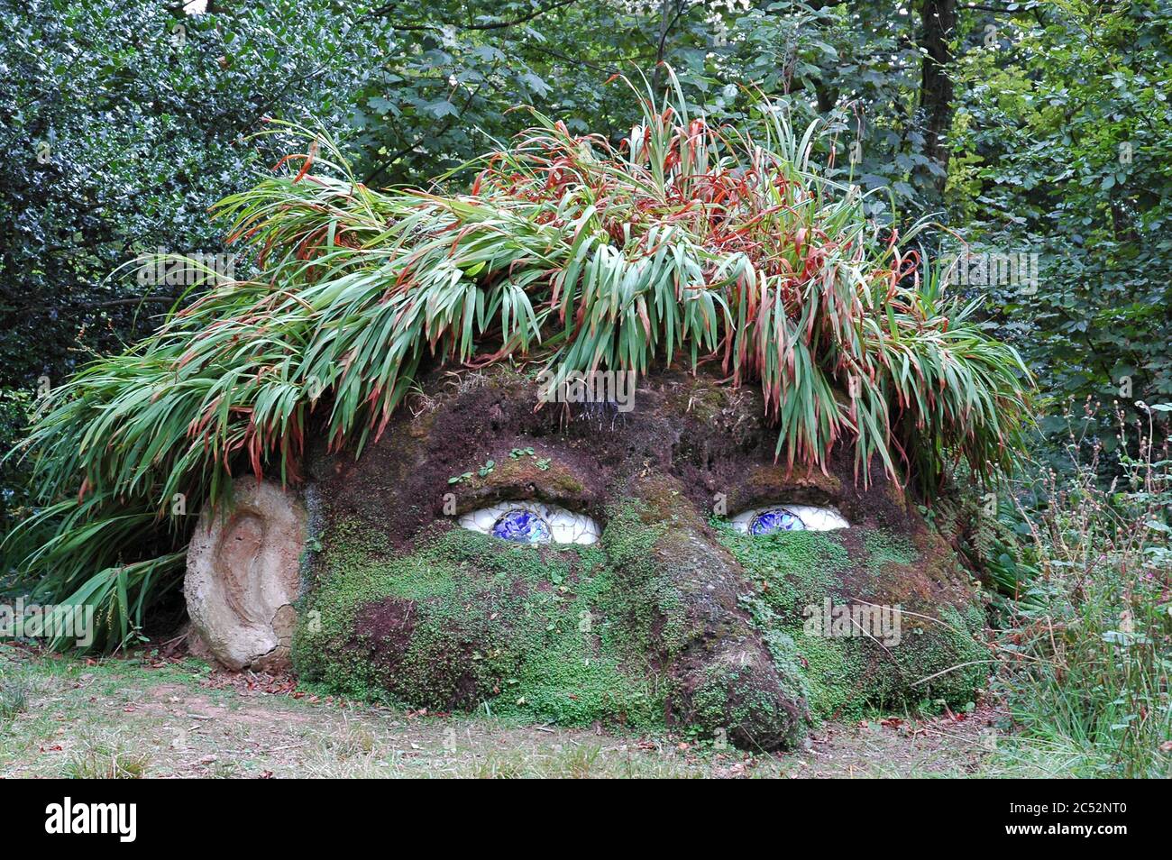 The Giant's Head in The Lost Gardens Of Heligan. Created to make use of ...