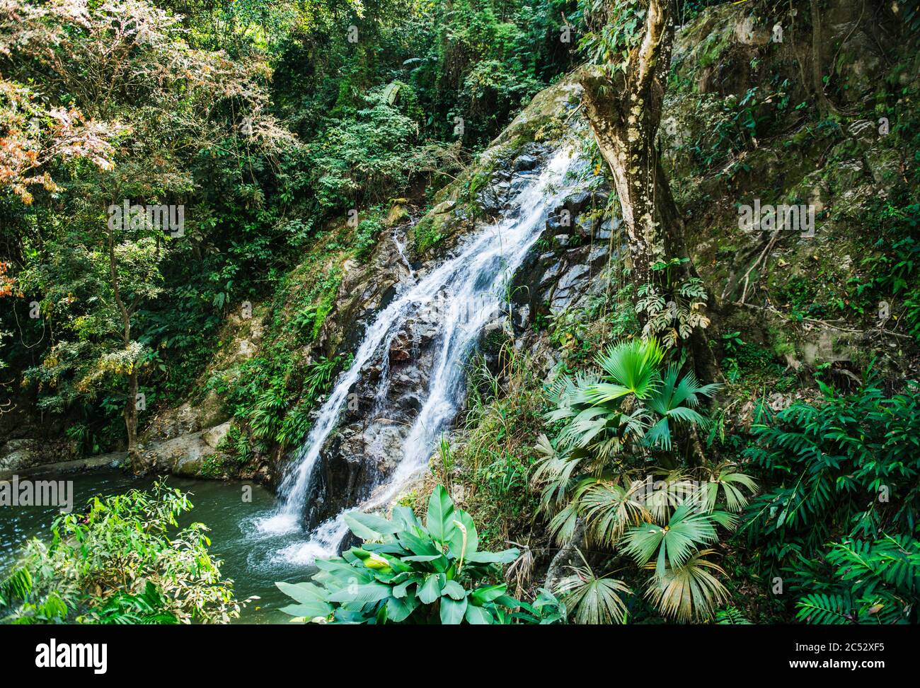 South america colombia falls waterfall hi-res stock photography and ...