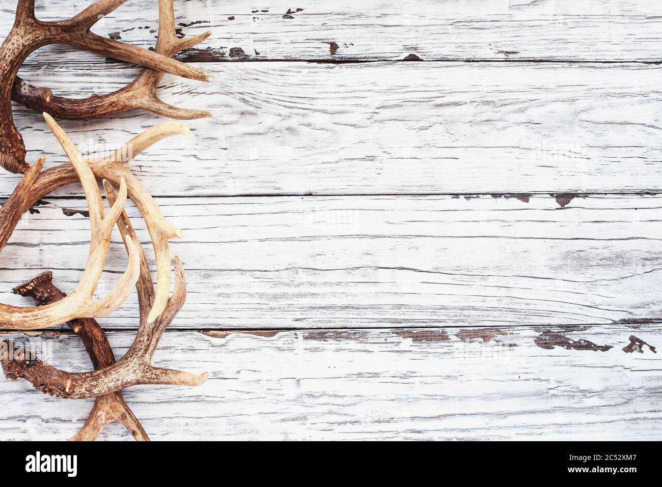 Border of real white tail deer antlers over a rustic wooden table ...
