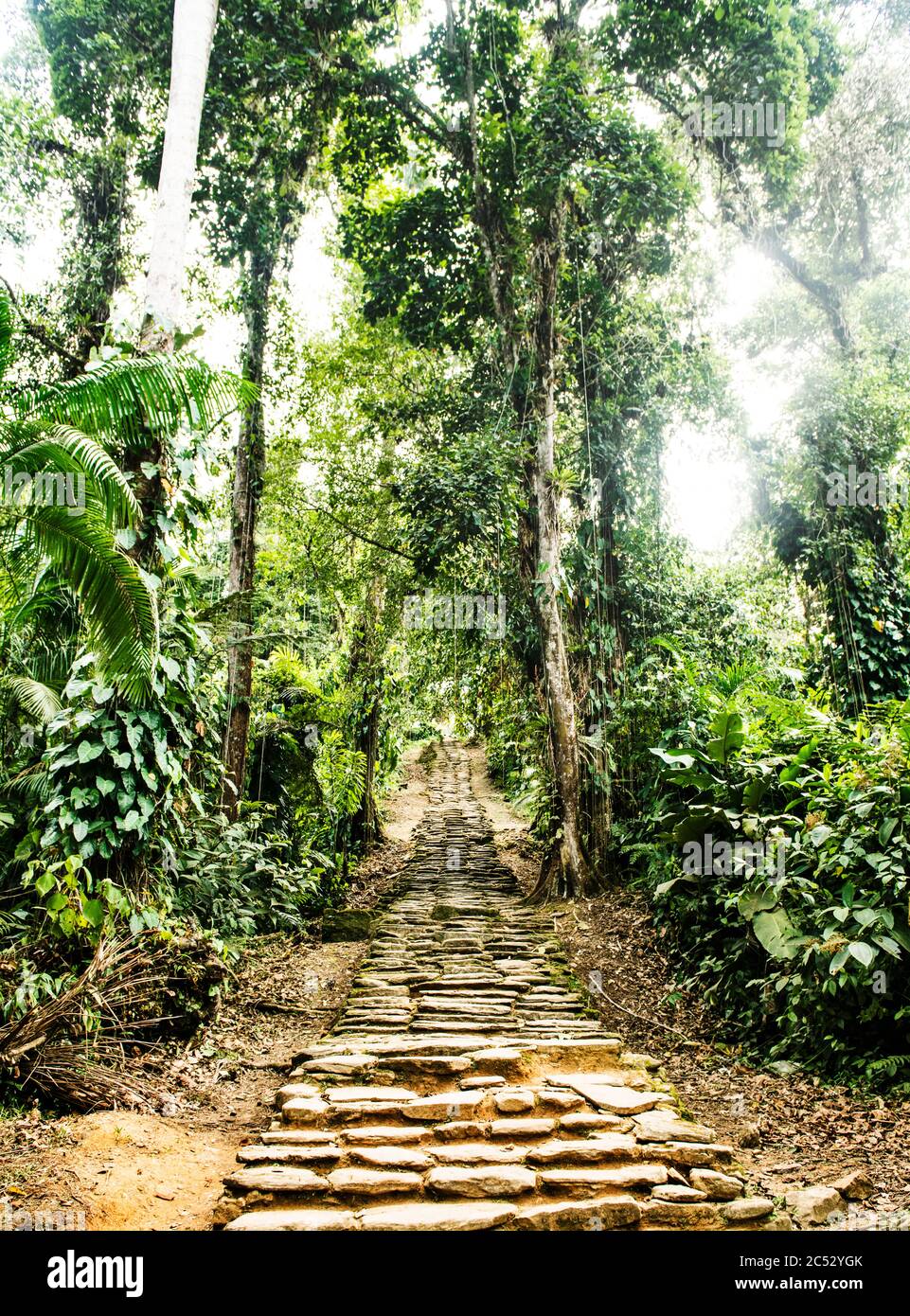 View of empty steps passing through Ciudad Perdida National park ...