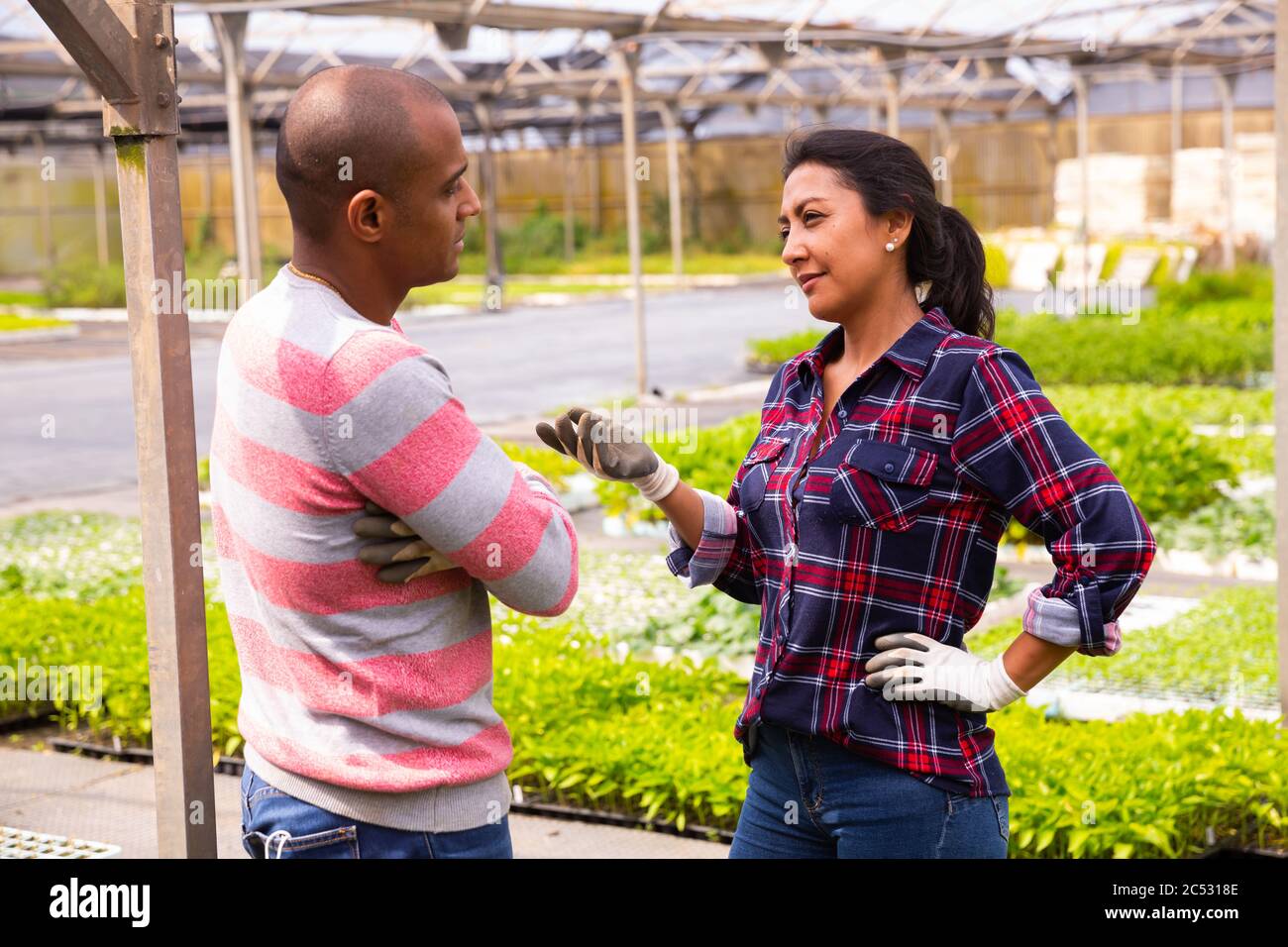 Farm owner gives instructions to the hired worker in the greenhouse ...