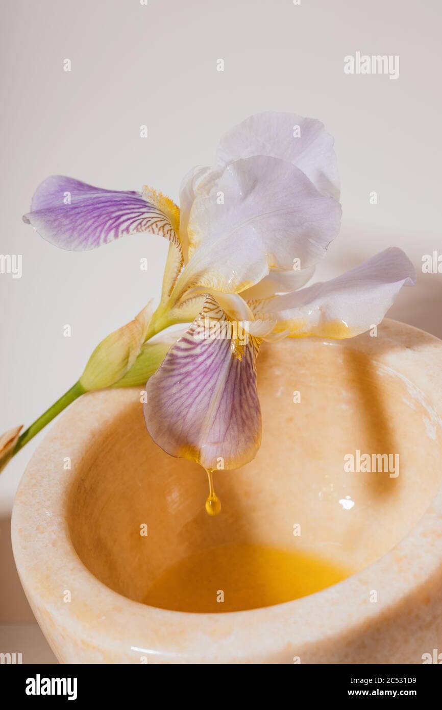 Iris oil hi-res stock photography and images - Alamy