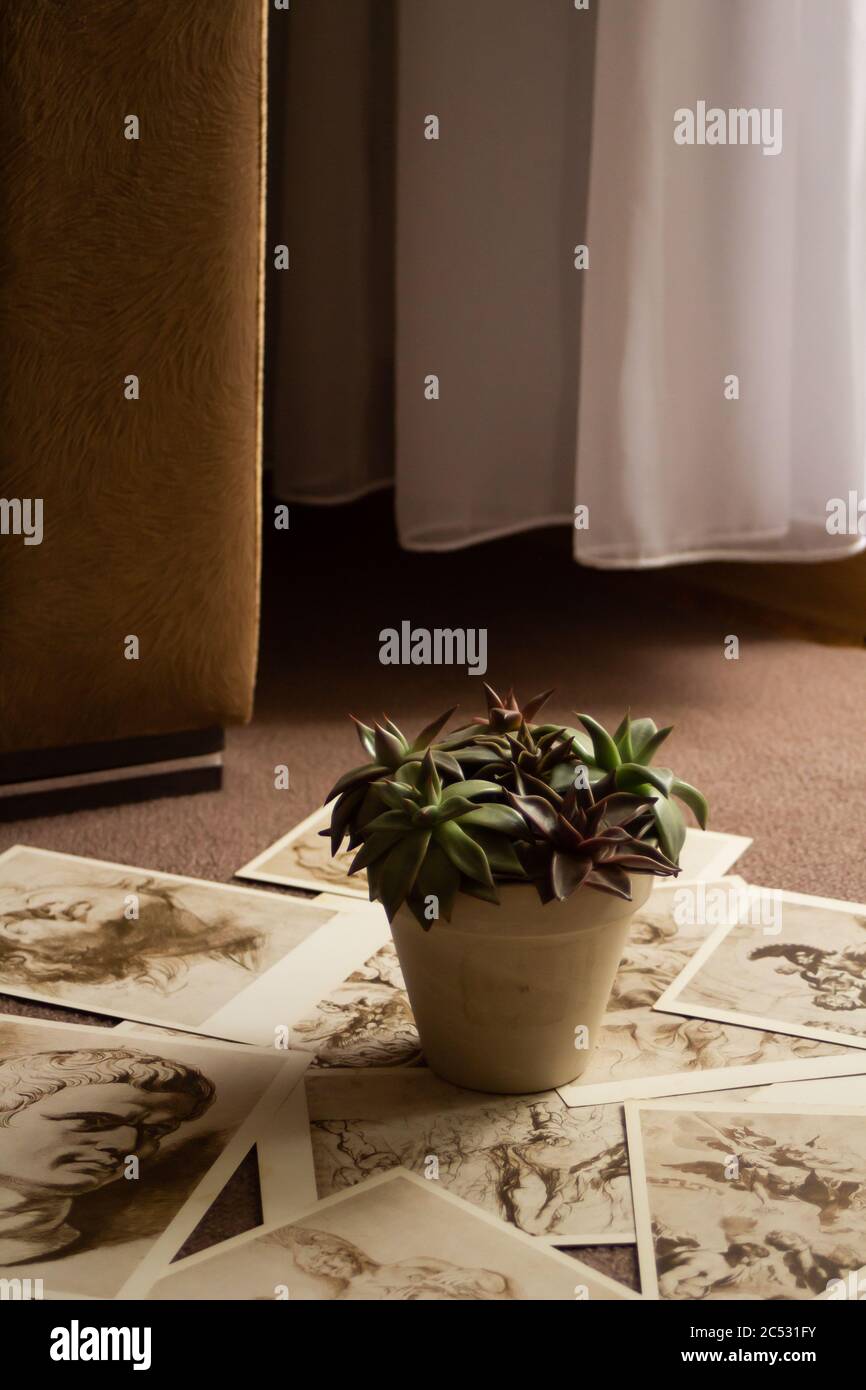 Old postcards are scattered in a chaotic manner and lies a pot of ...