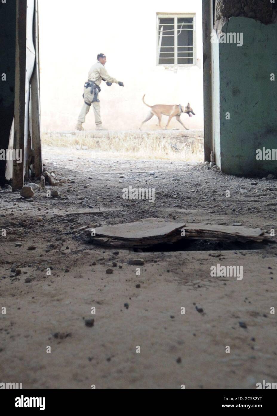 Iraqi dog handlers patrol Mosul Stock Photo - Alamy