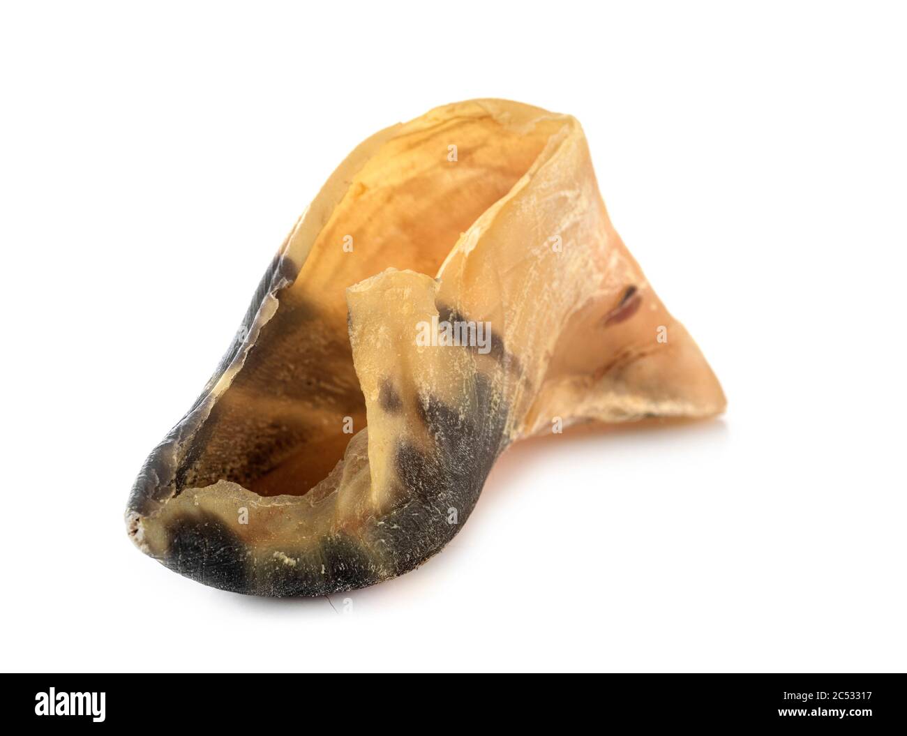 calf hoof in front of white background Stock Photo - Alamy