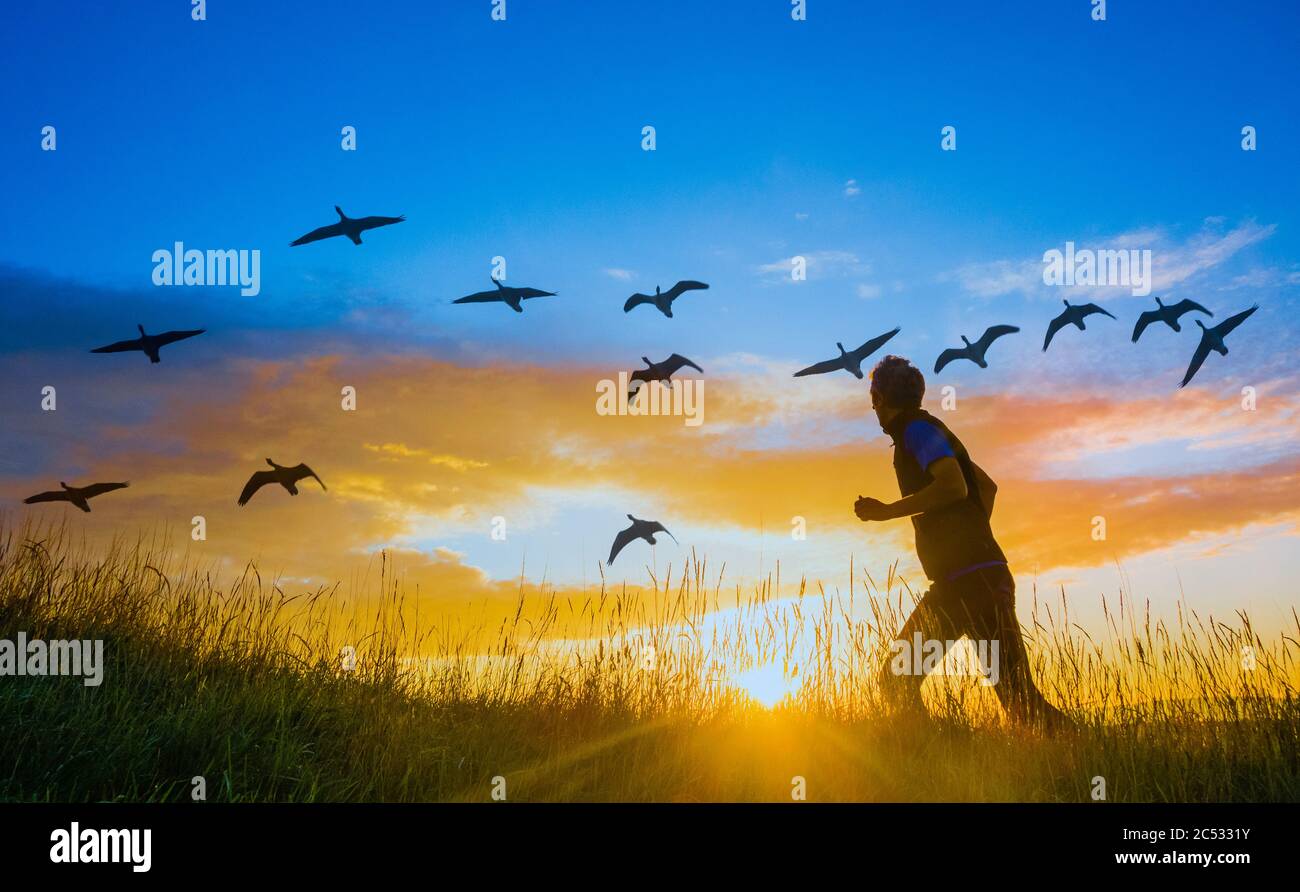 Flying runner hi-res stock photography and images - Alamy