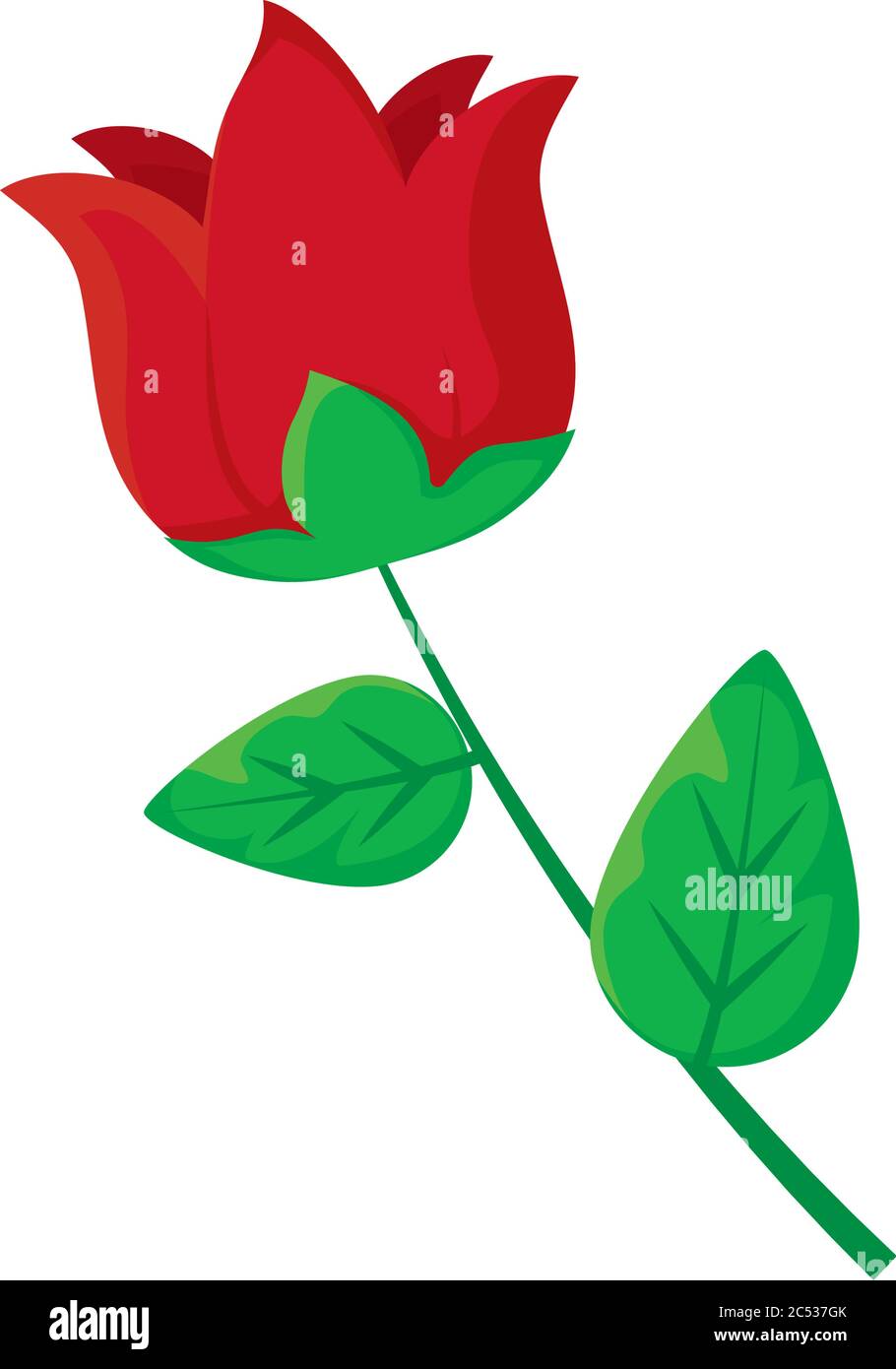 red rose icon over white background, colorful design, vector ...