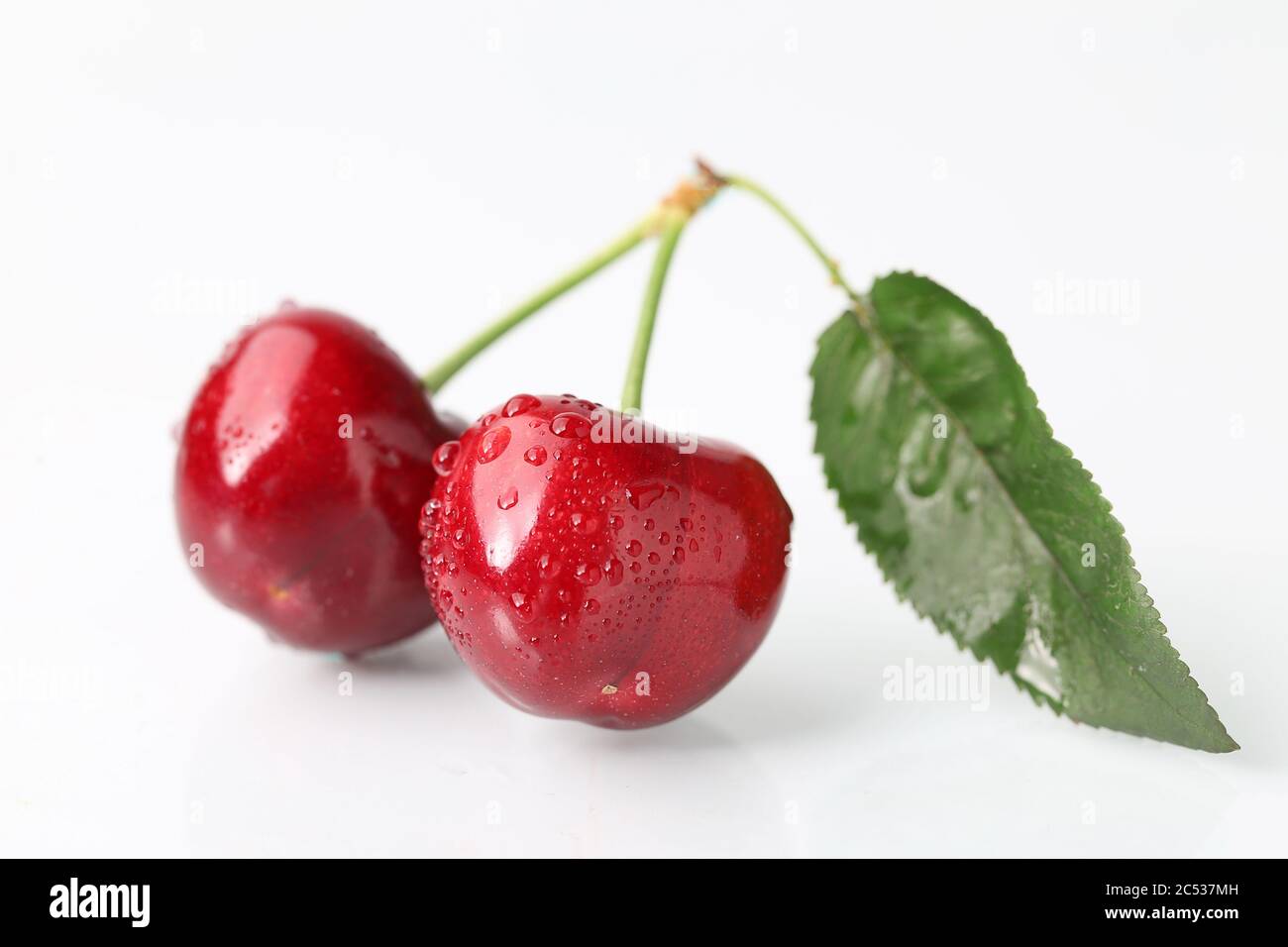 Chinese Sour Cherry High Resolution Stock Photography and Images - Alamy