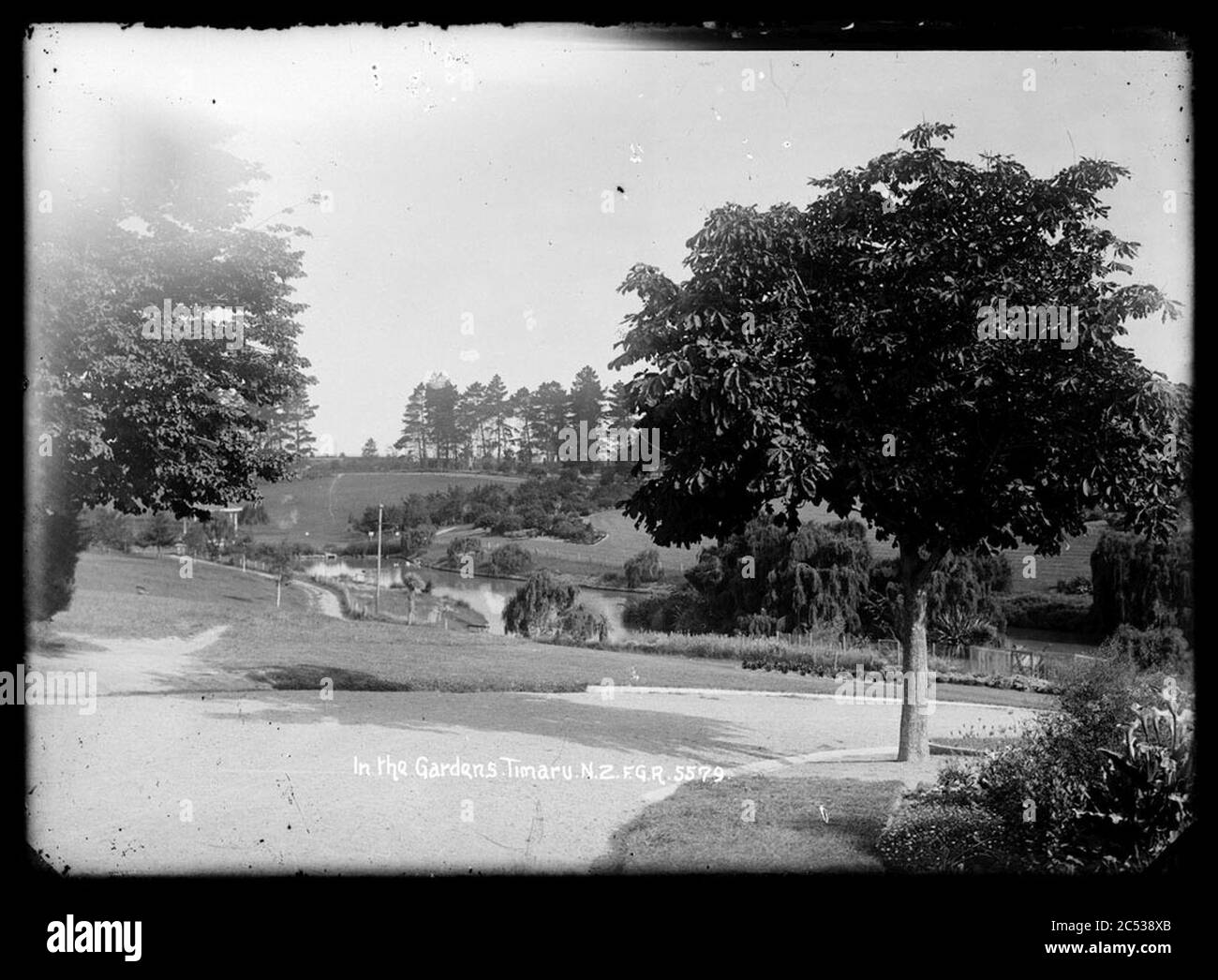 In the Gardens. Timaru. N.Z. F.G.R. 5579 35-R01487 Stock Photo - Alamy