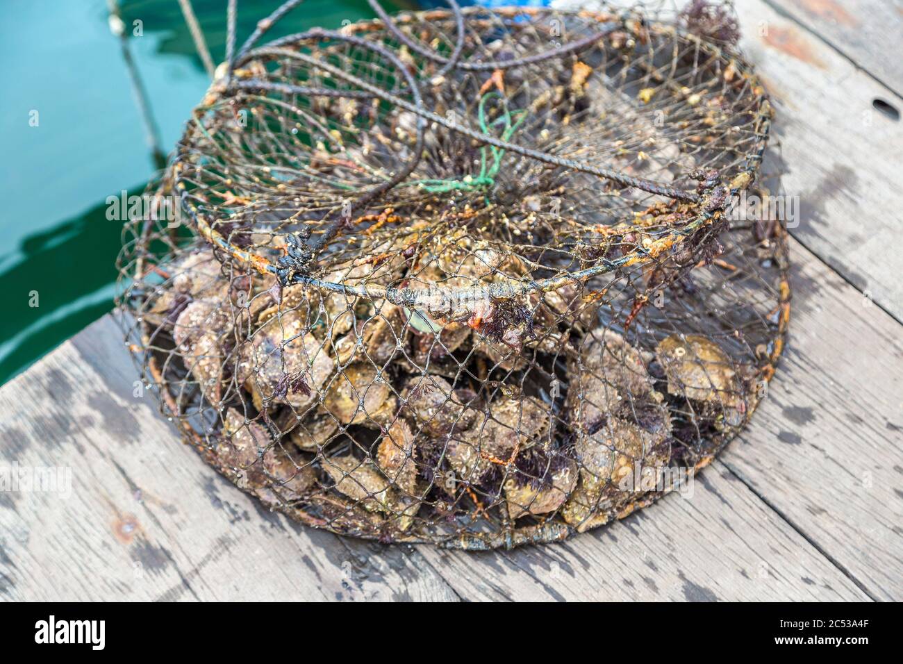 Pearl farm vietnam hi-res stock photography and images - Alamy