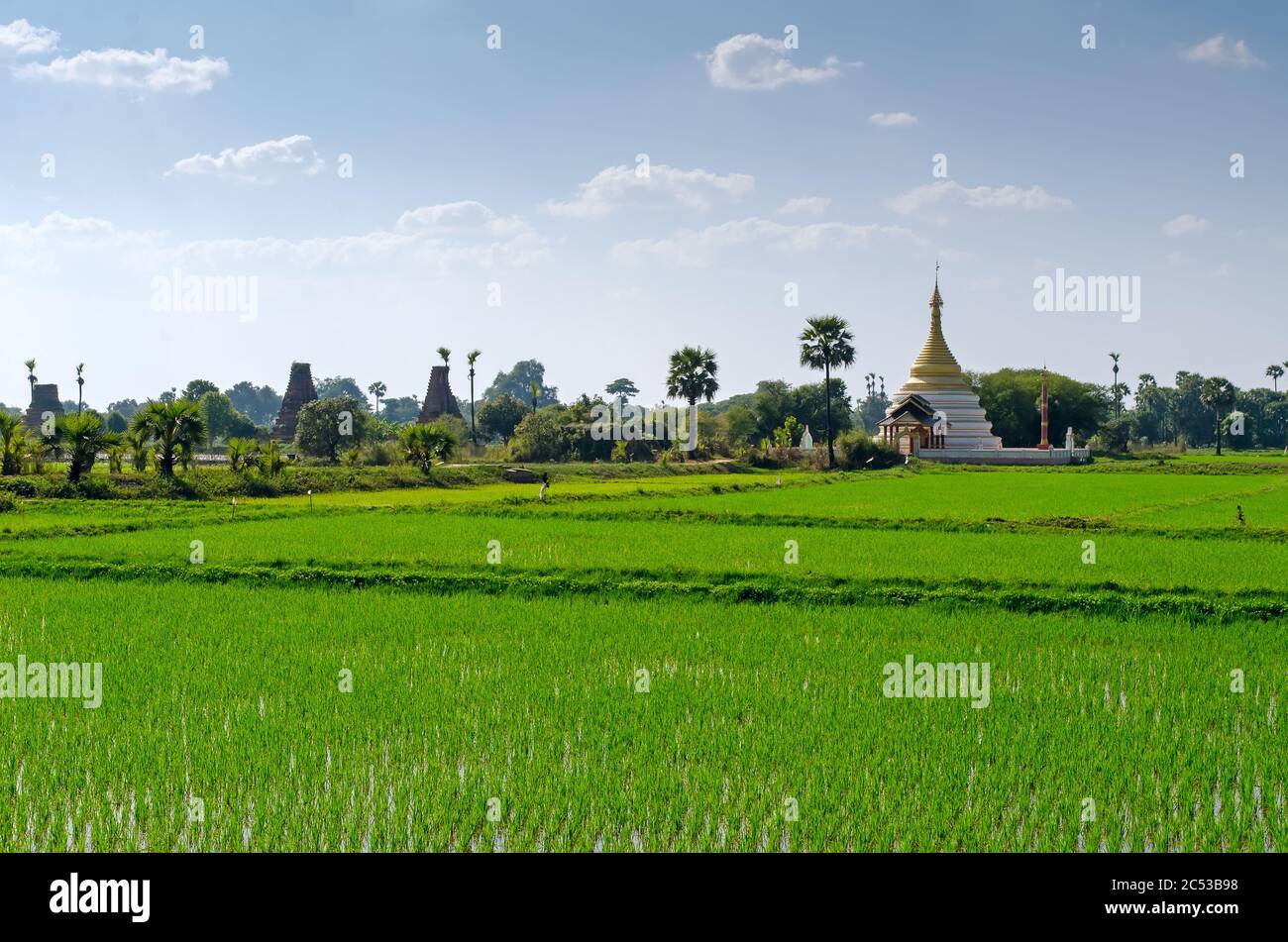 Pagoda in the paddy field. Inwa (Ava). Myanmar Stock Photo - Alamy