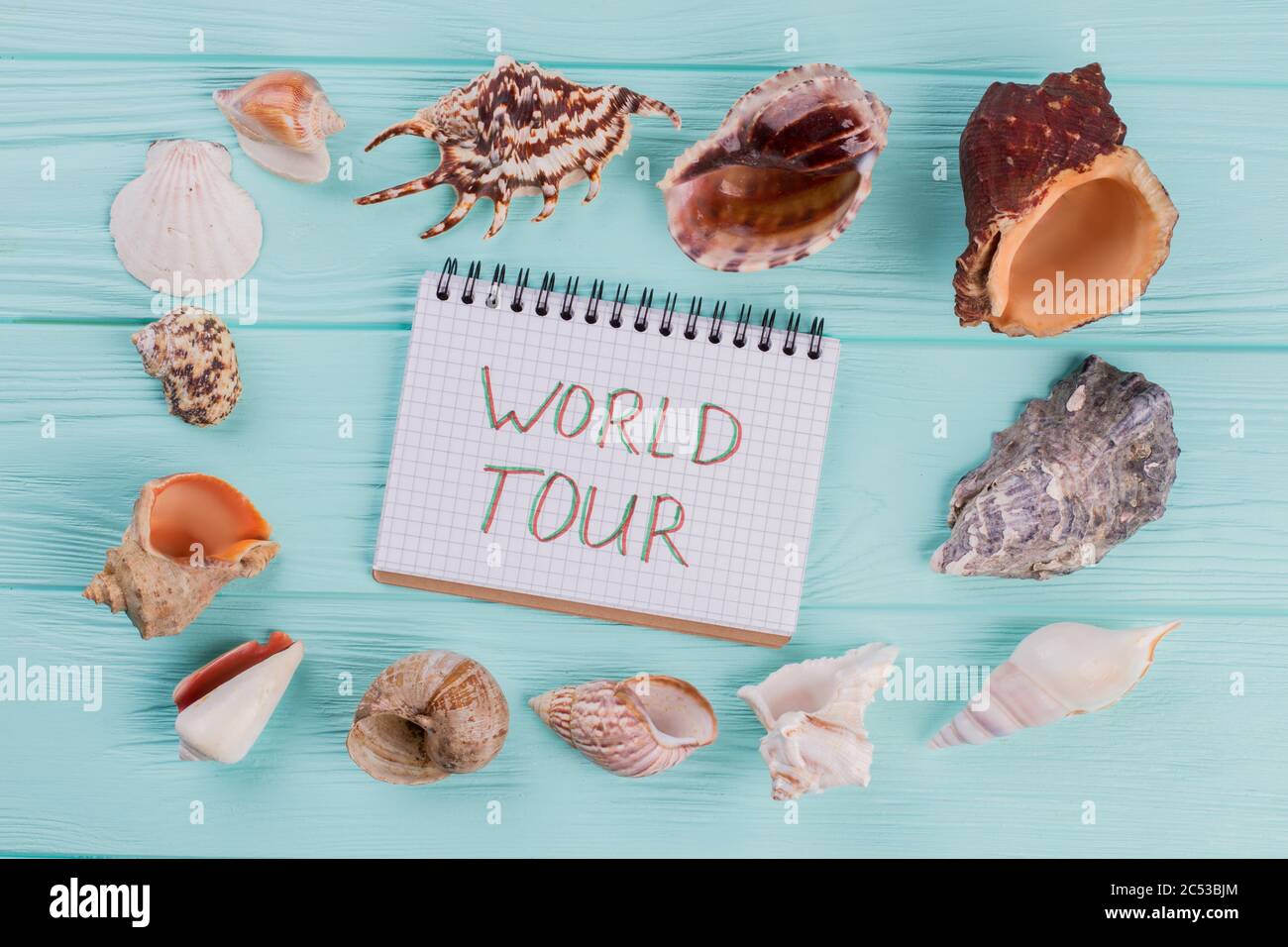 Along the perimeter are different sea shells on turquoise background ...