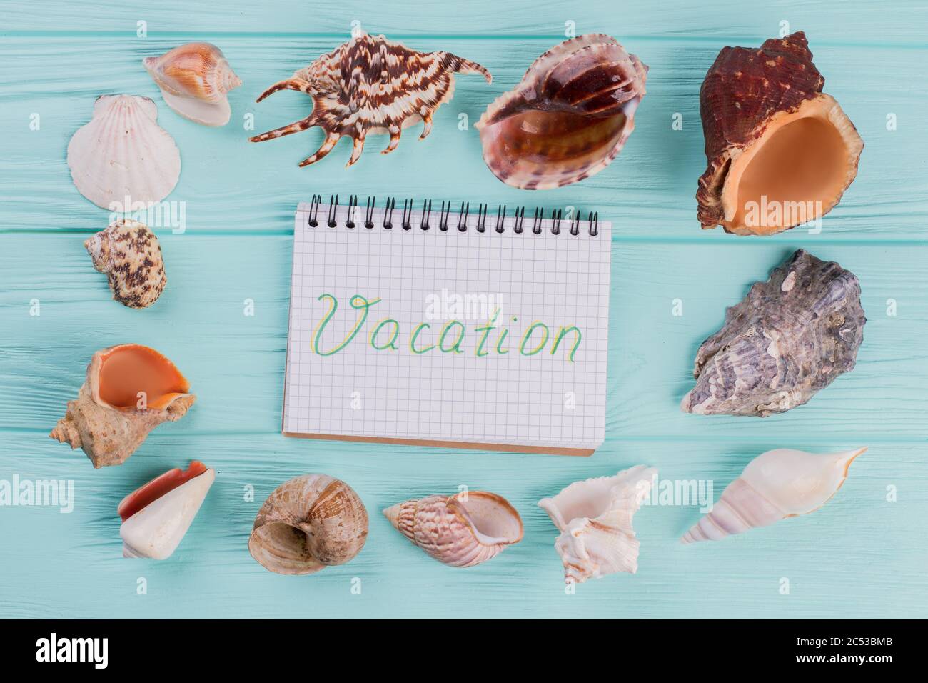 Along the perimeter are different sea shells on turquoise background ...