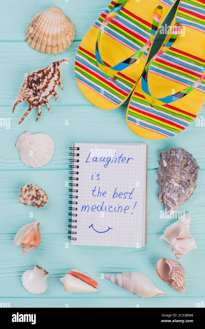 Slipper shells hi-res stock photography and images - Alamy