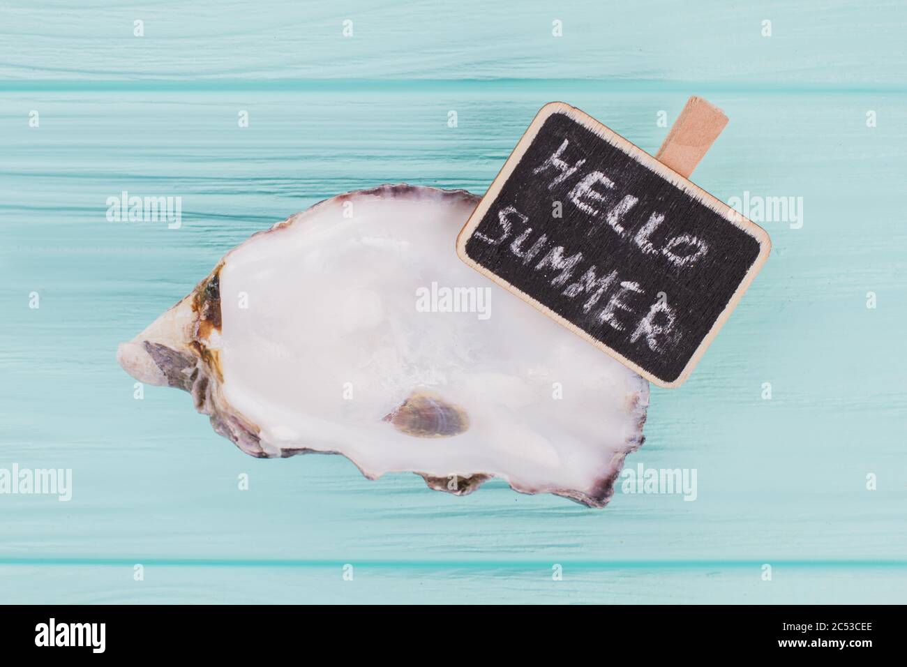 Flat lay little seashell with sign Hello sea on turquoise background ...