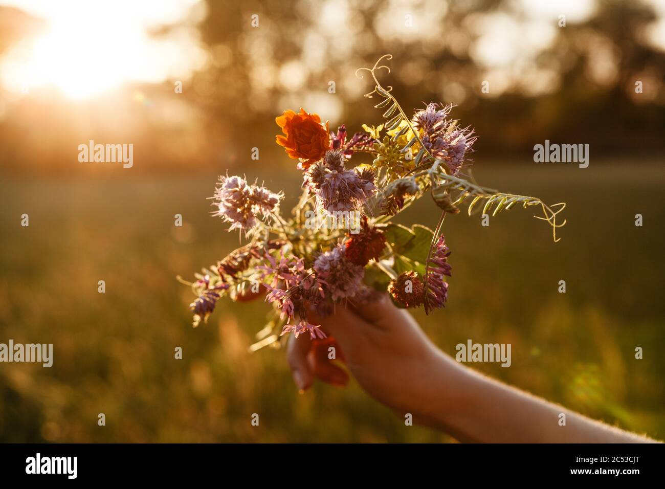 Hand holding flowers hi-res stock photography and images - Alamy