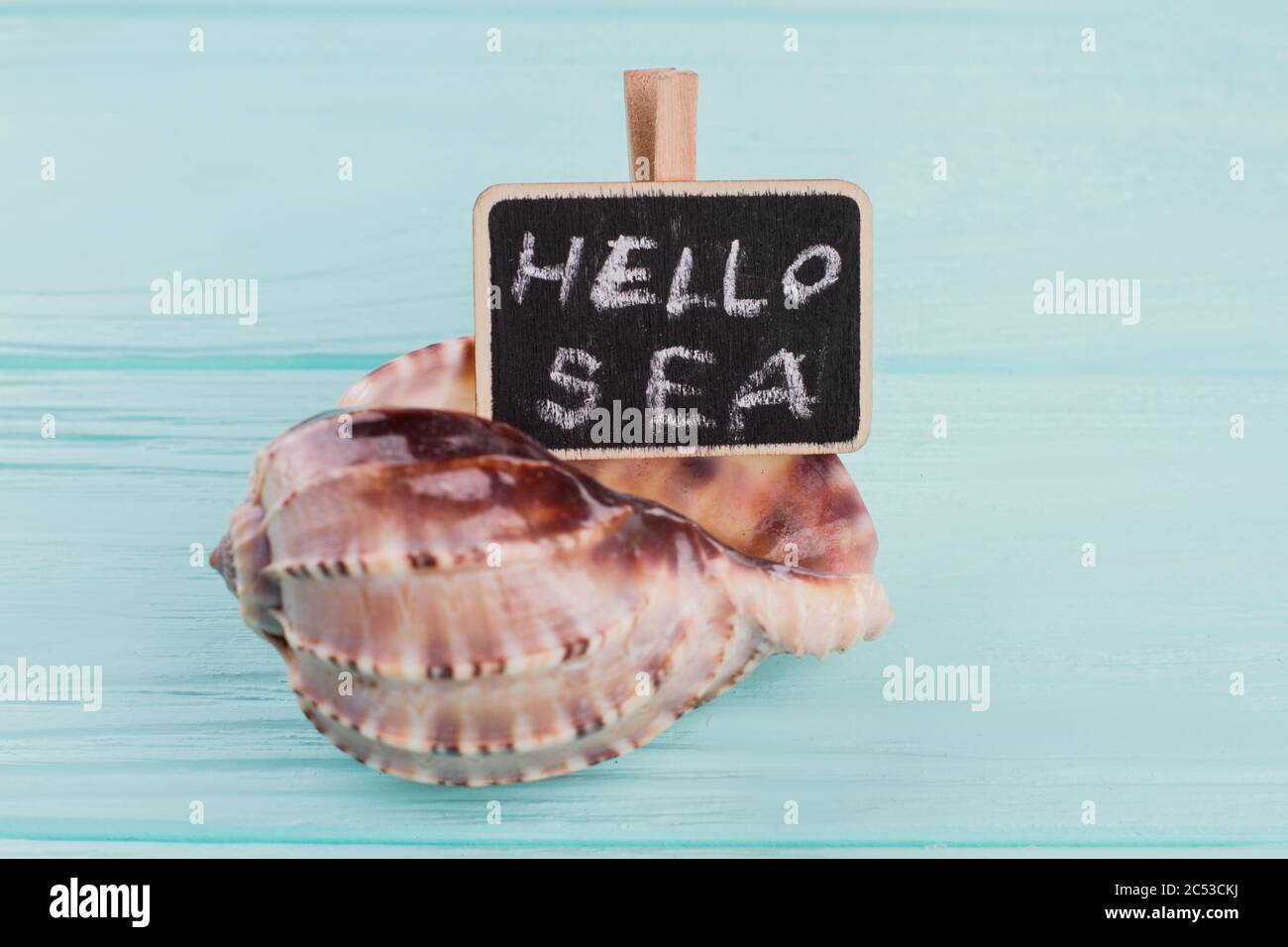 Seashell with chalkboard with hello sea text Stock Photo - Alamy